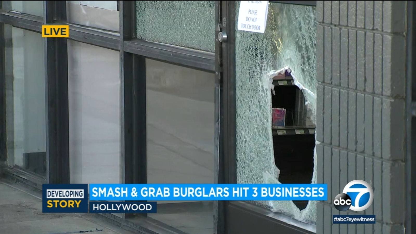 Smash-and-grab burglars hit 3 small businesses in Hollywood and ...