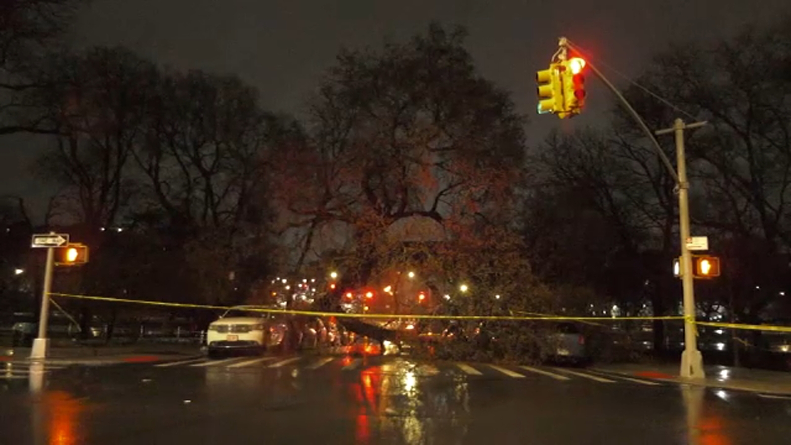 Large tree falls on cars in Norwood, Bronx as storm moves through area ...