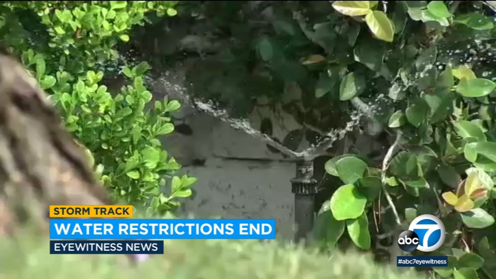 After wet winter, emergency outdoor watering restrictions lifted for 7 ...