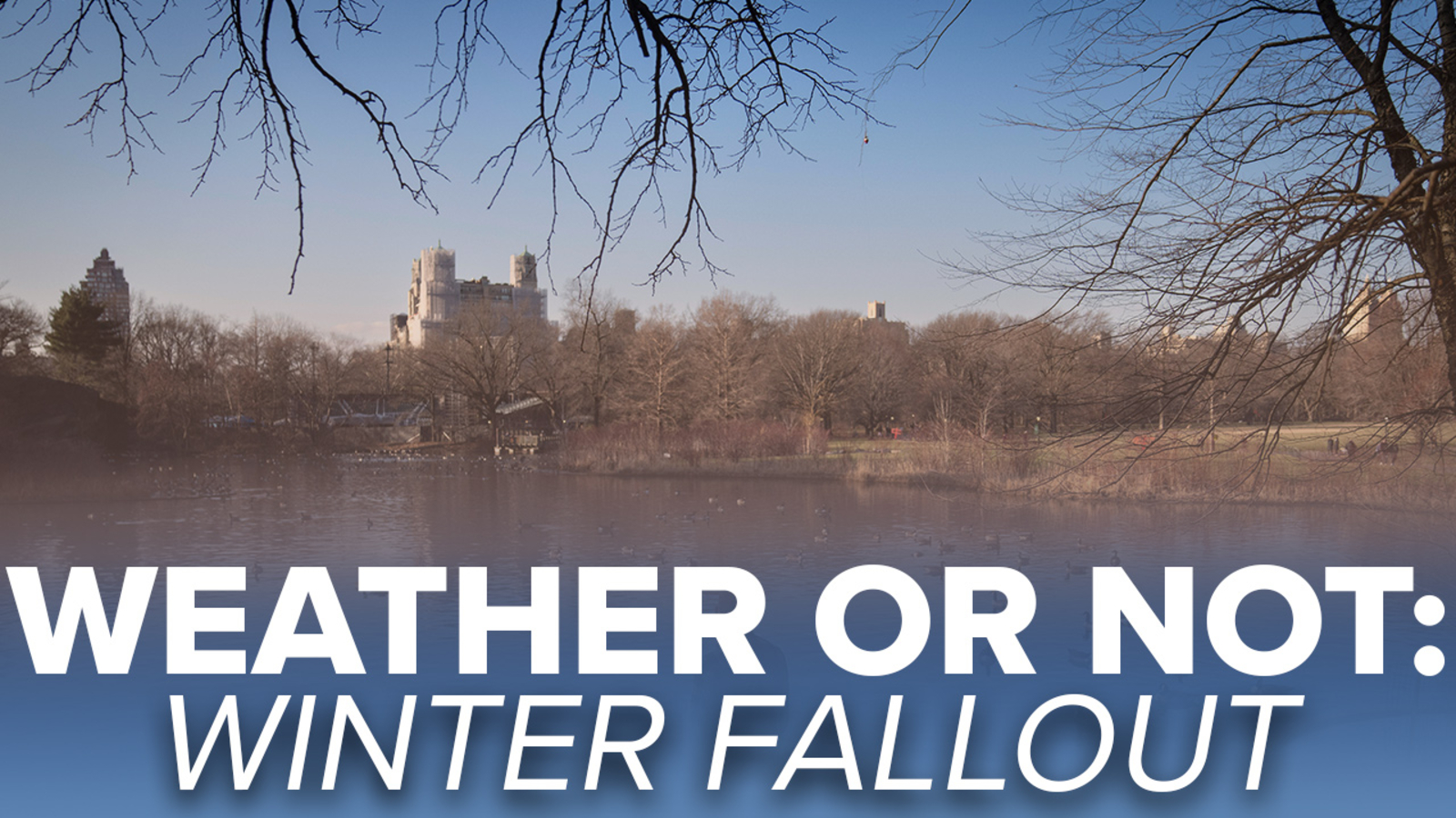 Weather or Not: The spring weather outlook - ABC7 New York