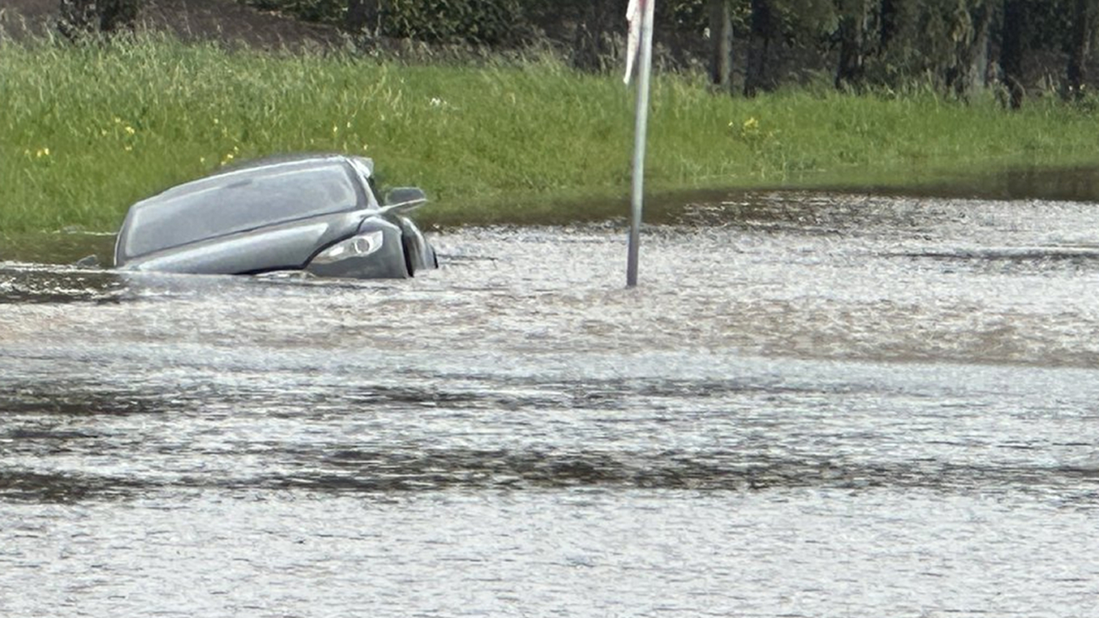 Bay Area live storm updates: Bay Area coast sees downed trees, power ...