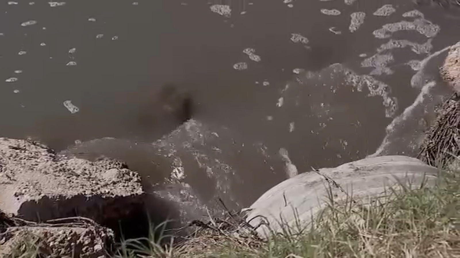 City of Houston water: Contract with Kingwood wastewater plant ...