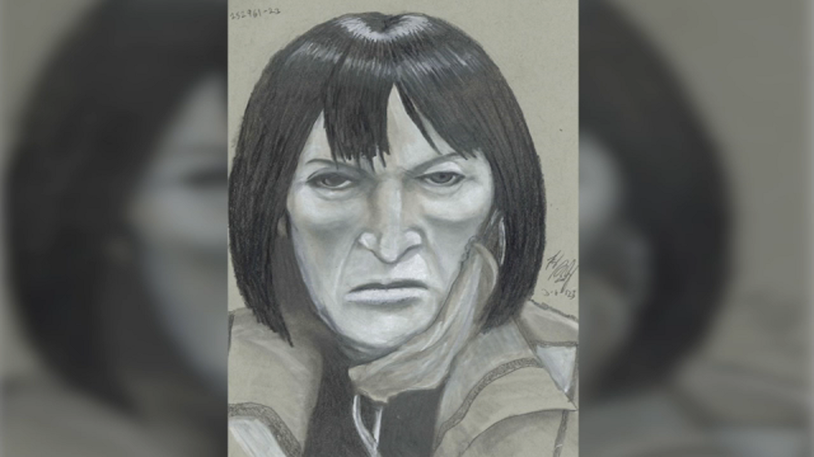 Credit card abuse: Sketch released of woman accused of spending $2,000 ...
