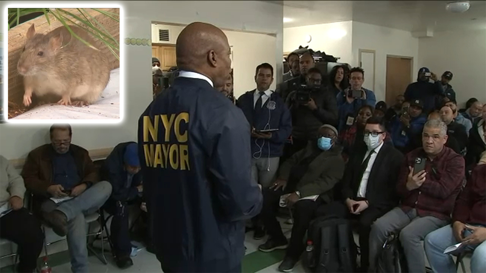 Rat Academy held in the Bronx to help deal with infestation in NYC ...