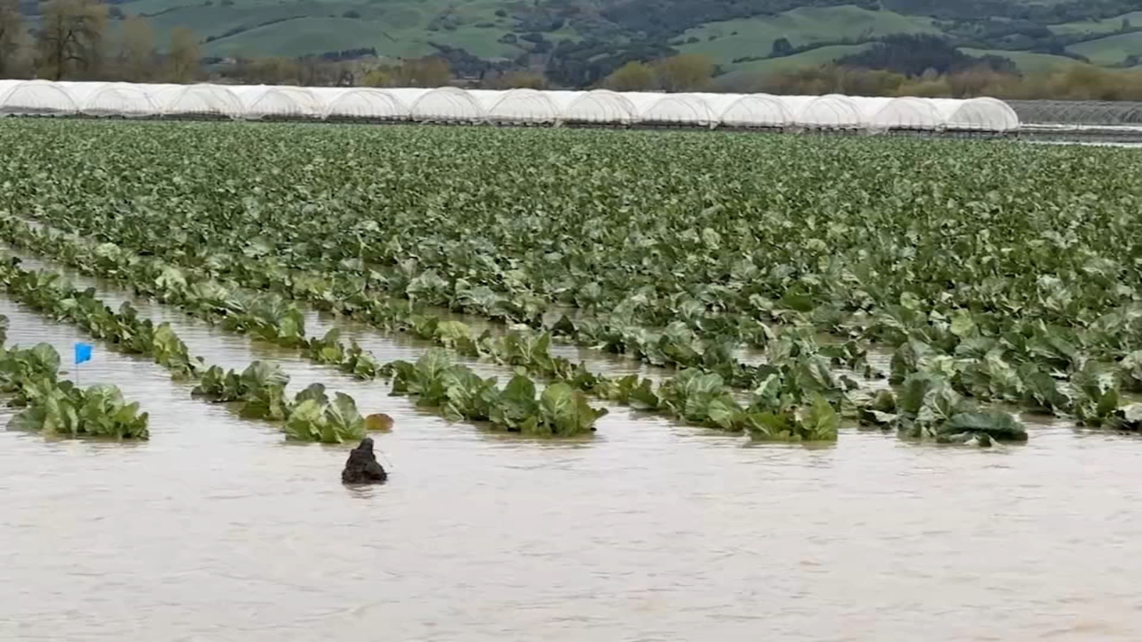 California's historic snowpack and the runoff's potential impact on ...