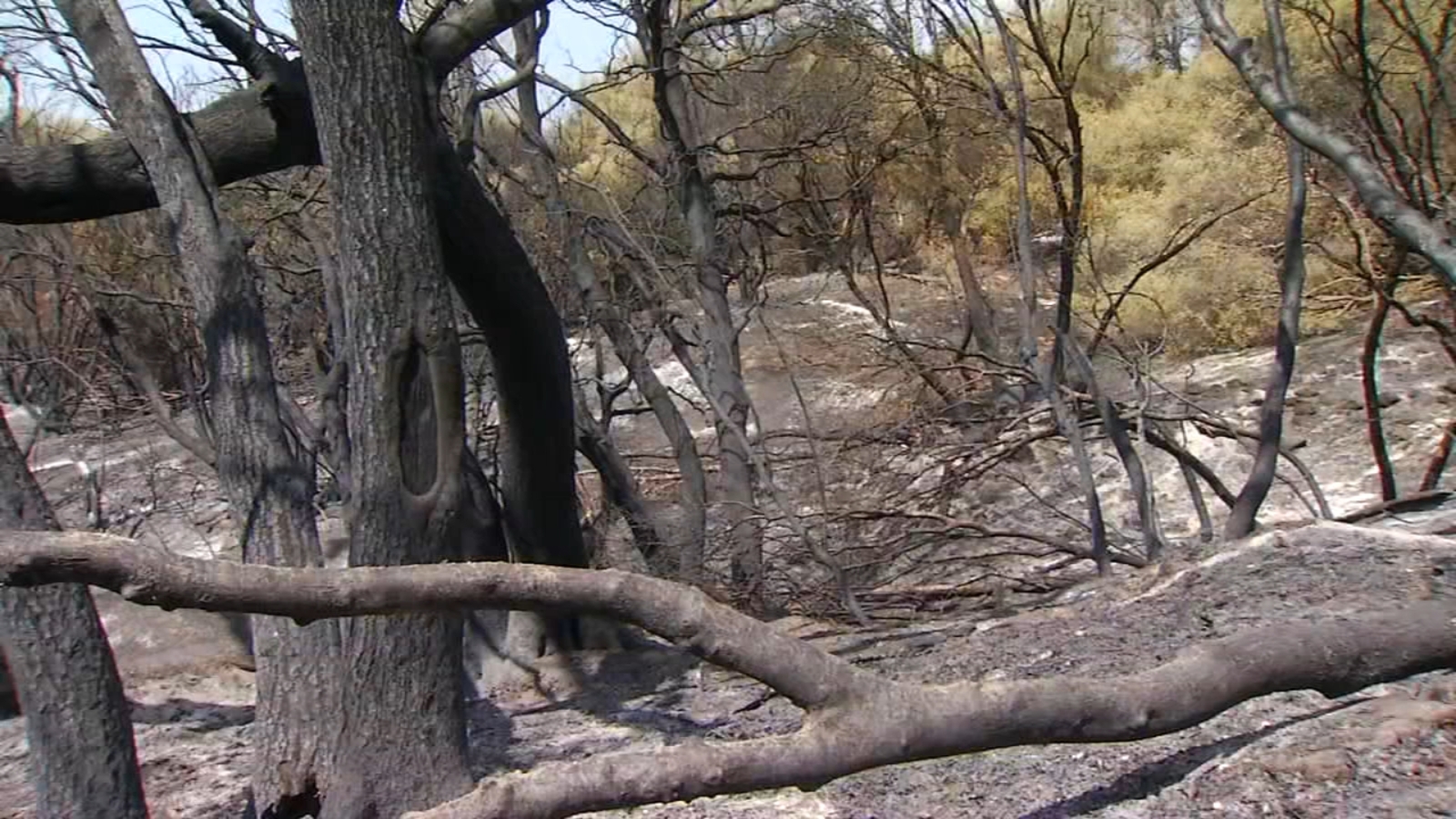 Assistance offered for residents impacted by Fork Fire in Madera County ...