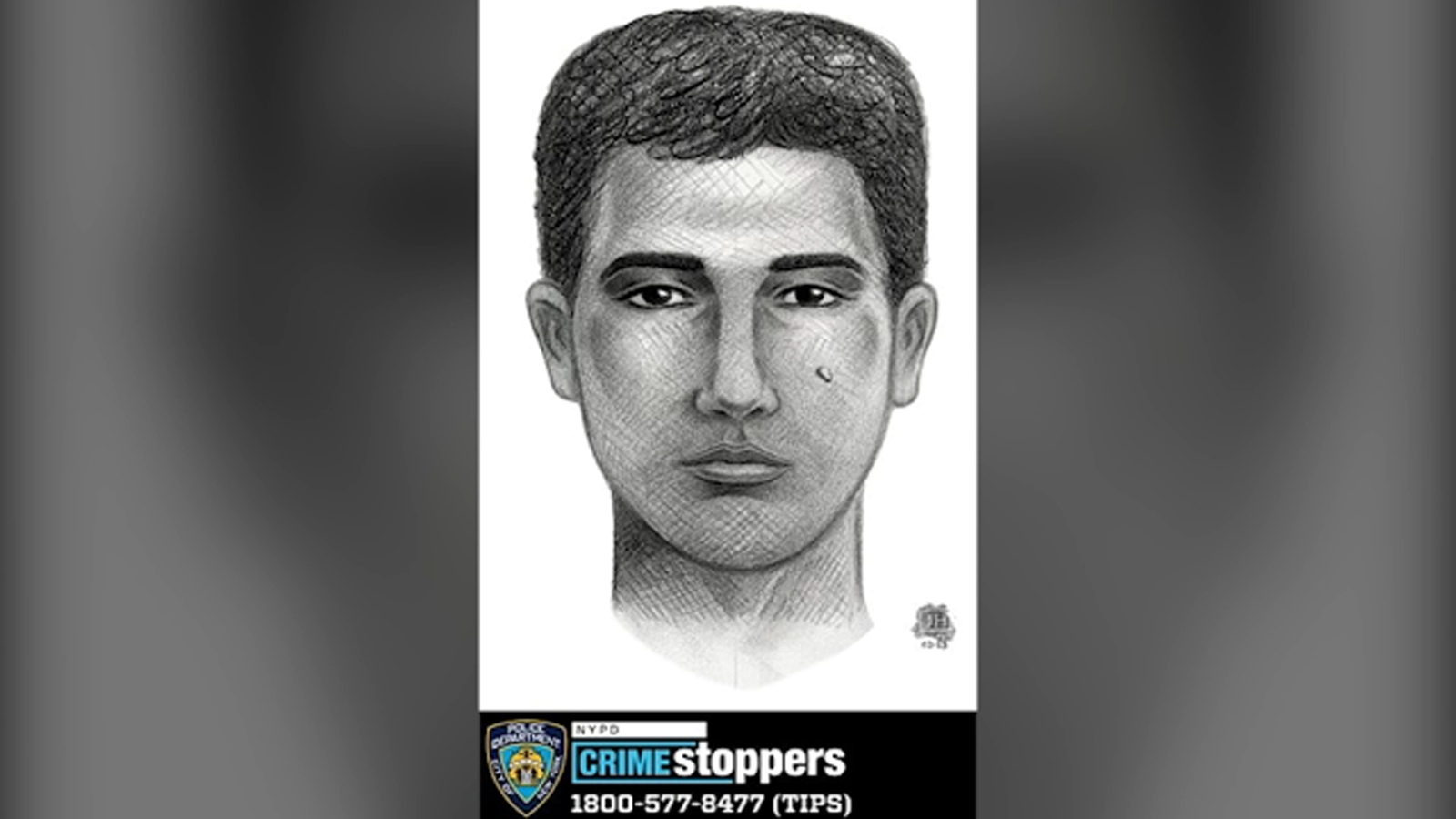 NYC Crime: Man slams woman's head against tree in Central Park attack ...