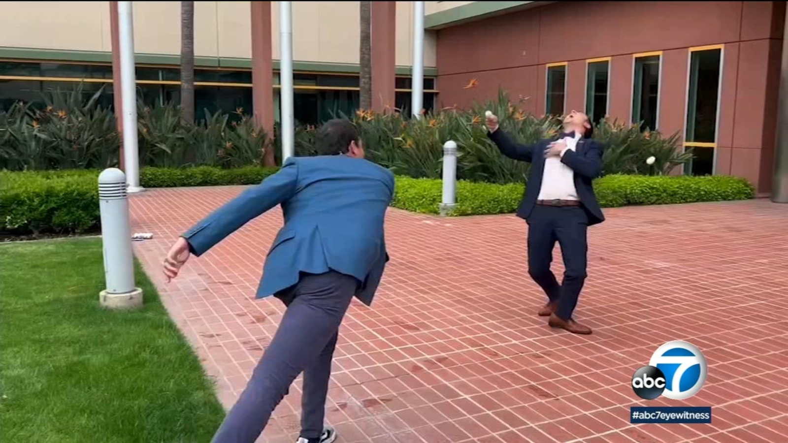 ABC7 studio anchors hold hilarious behind the scenes Easter egg hunt ...