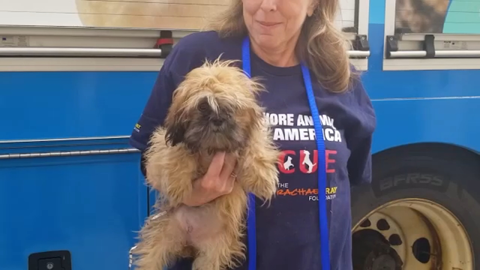 Dogs rescued from Midwest arrive on Long Island for adoption - ABC7 New ...