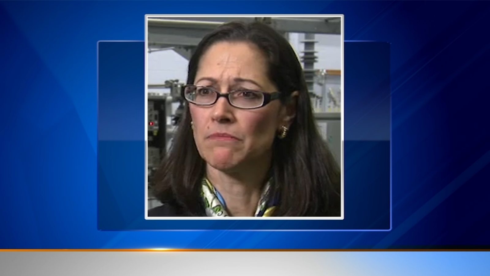 ComEd trial: 'ComEd four' defendants Anne Pramaggiore, John Hooker take ...