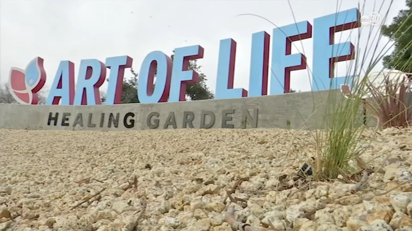 Tickets available for Art of Life Cancer Foundation's 'Gourmet Picnic ...