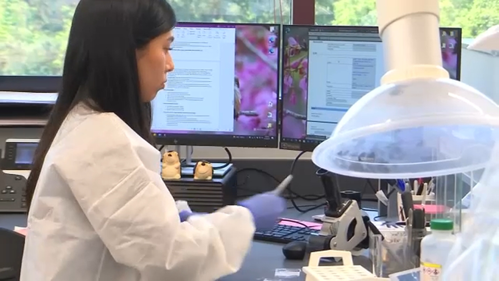 Fentanyl crisis | State Crime Lab opens, sees critical levels of ...