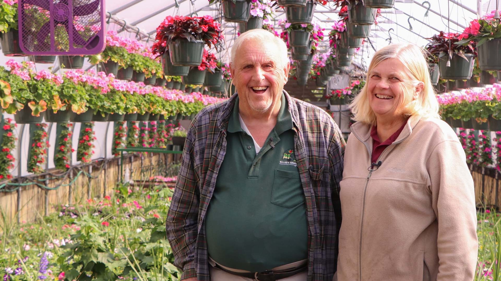 Pa. couple celebrates 50 years growing greenhouse business in backyard ...