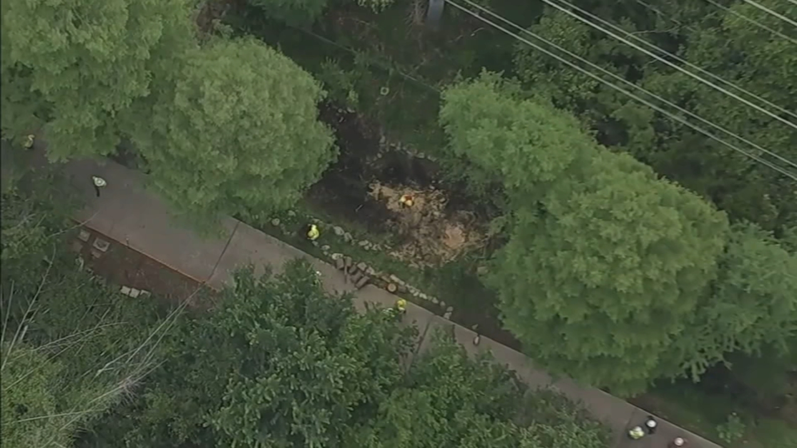 ABC13 viewer Michael Lee claims CenterPoint Energy cut down trees ...