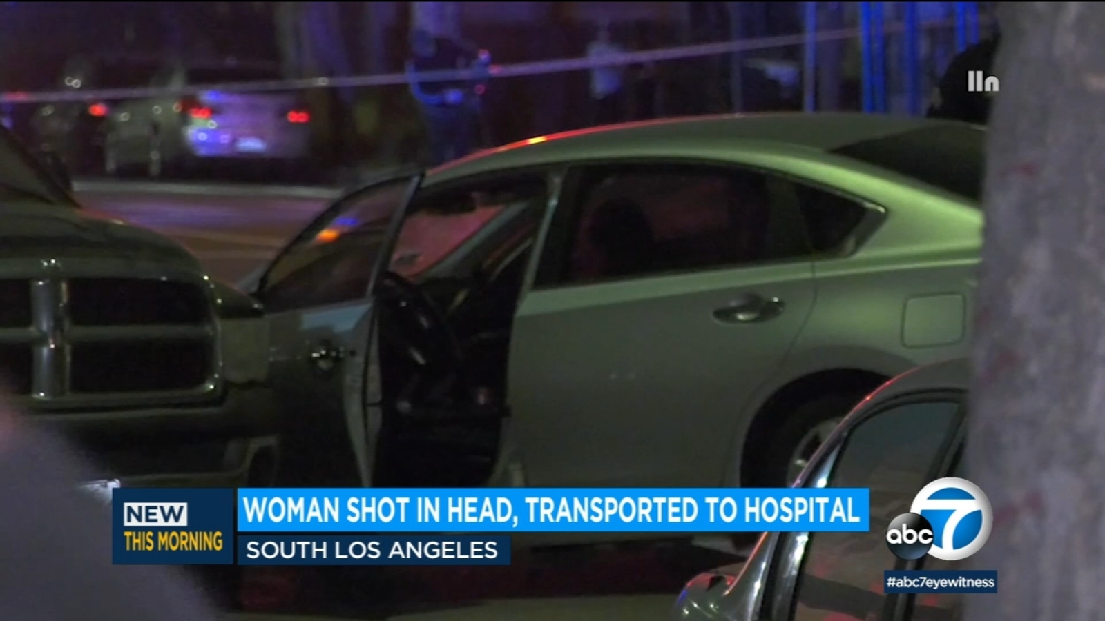 Woman shot in the head while driving in South Los Angeles, police say ...