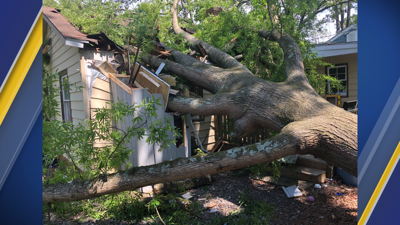 Large tree falls on home in Durham, family of 5 inside at the time ...