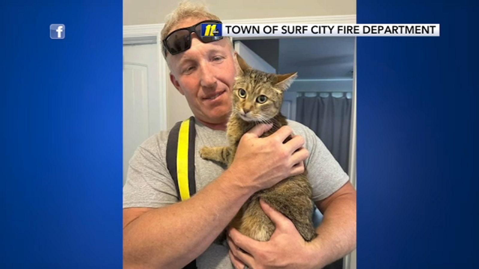 Surf City firefighters rescue cat stuck under remodeled shower - ABC11 ...