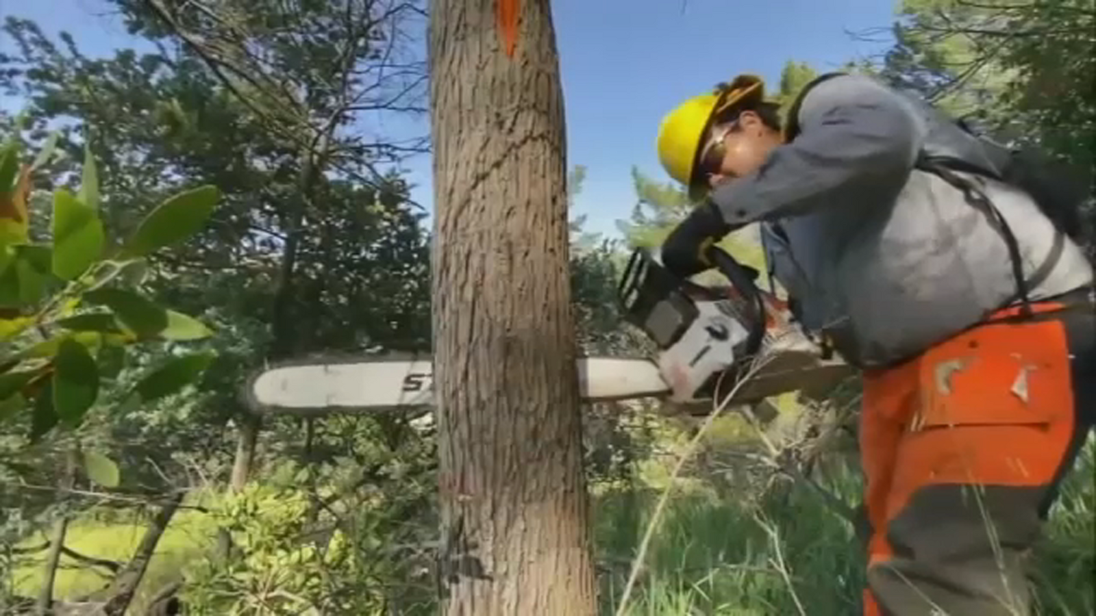 Equity-based firefighter training program Fire Foundry expands in Marin ...