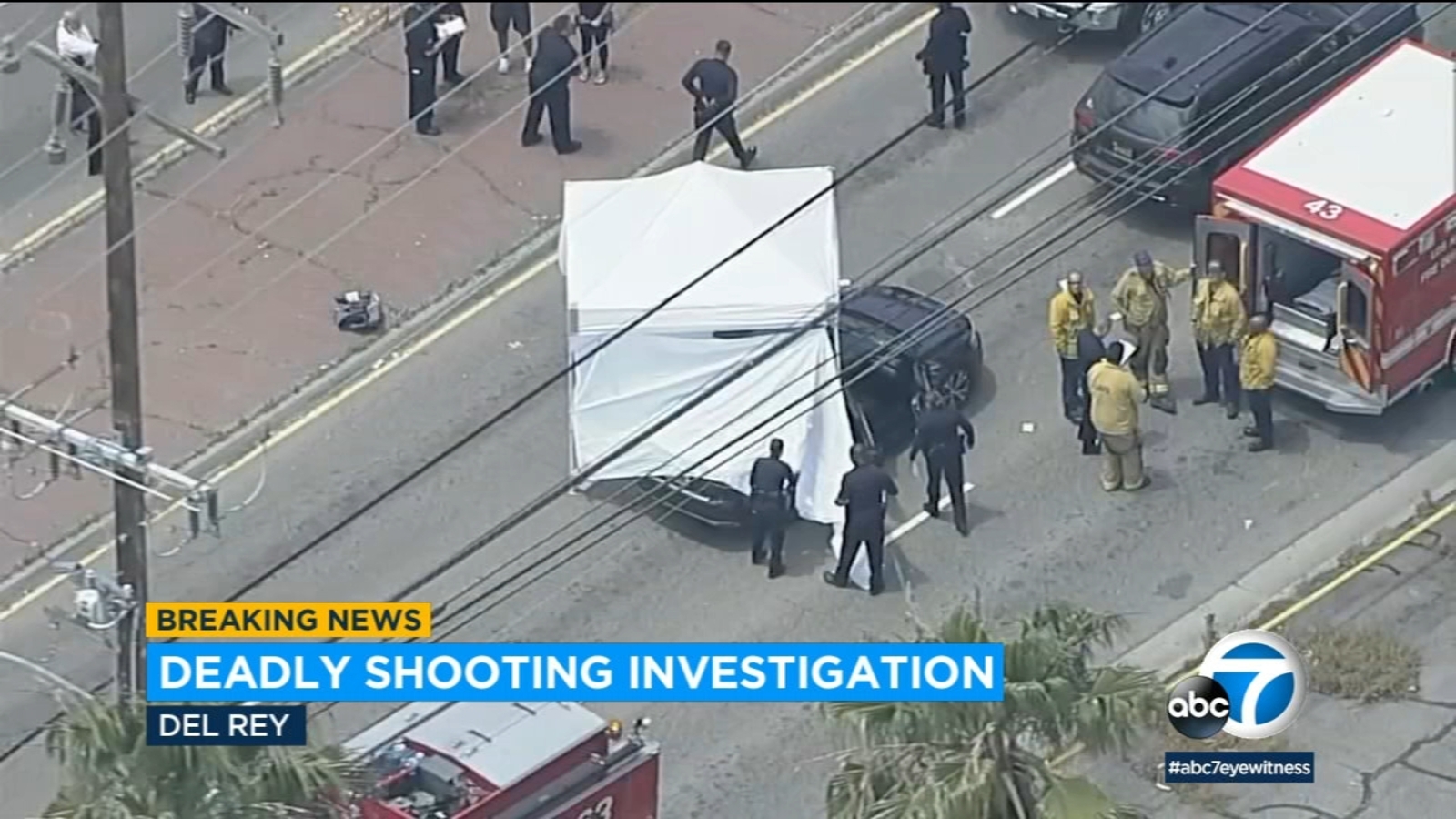 1 person shot, killed in vehicle in Del Rey area after argument between ...