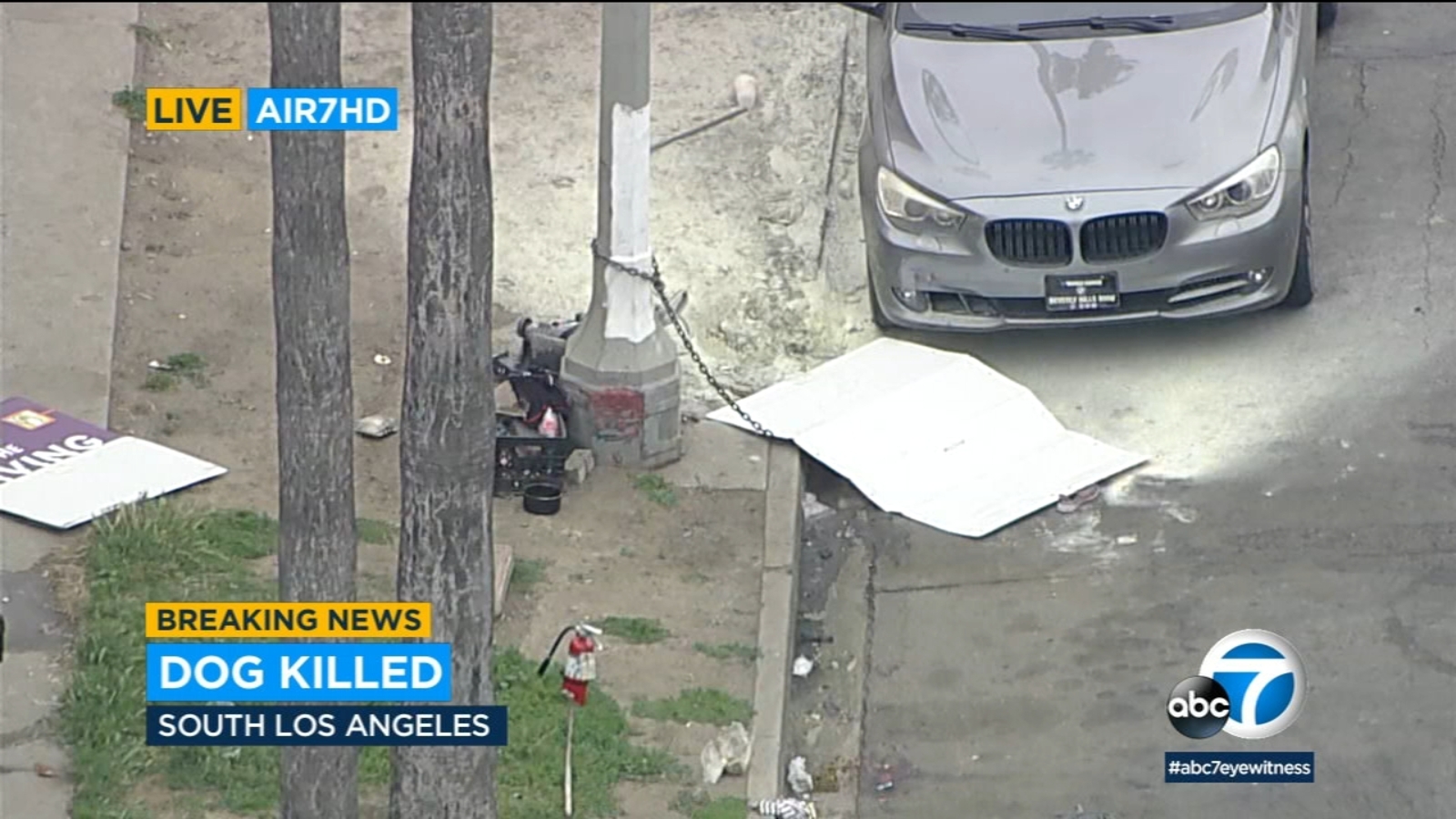 LAPD shoots and kills at least 1 dog at homeless encampment in South LA ...