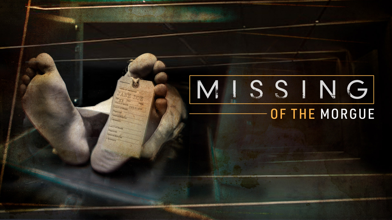 'Missing of the Morgue': The coldest cases of the NYC Medical Examiner ...