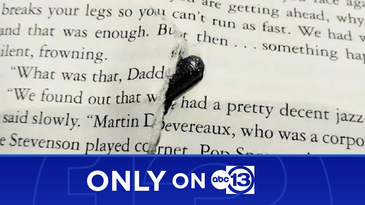 Man poses for mugshot with his beloved pet parrot - ABC13 Houston