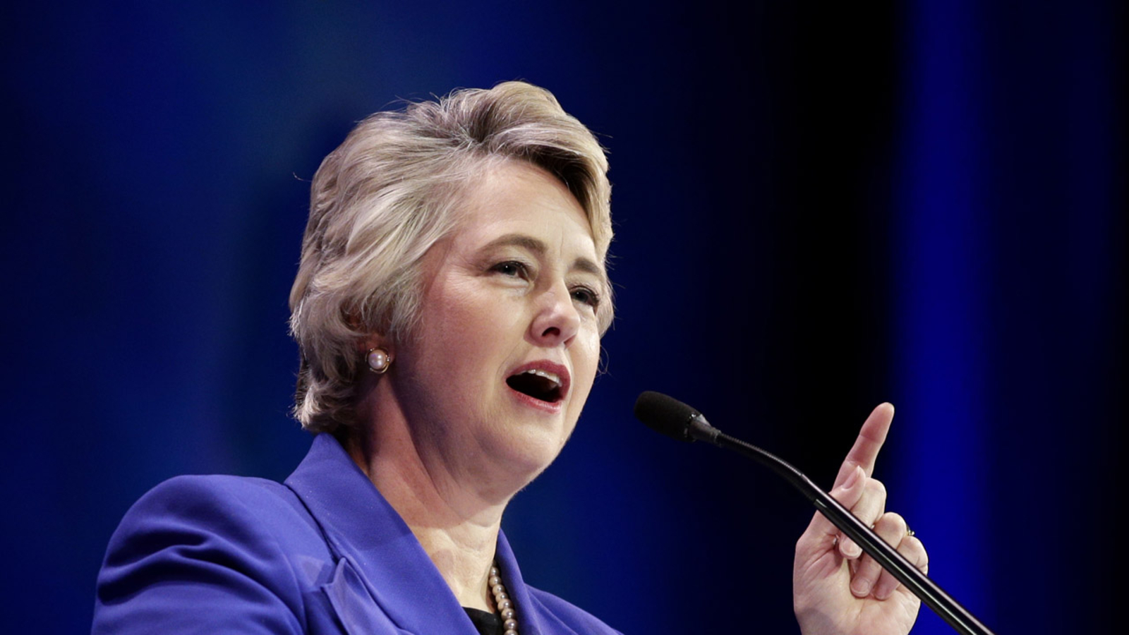 US mayors to use nature to fight climate change - ABC13 Houston