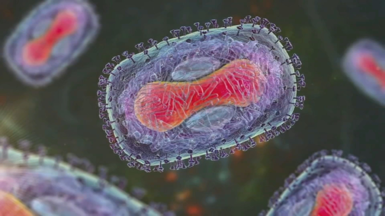 Cdc Warns Of Mpox Rebound Outbreak This Summer While Crediting Vaccines