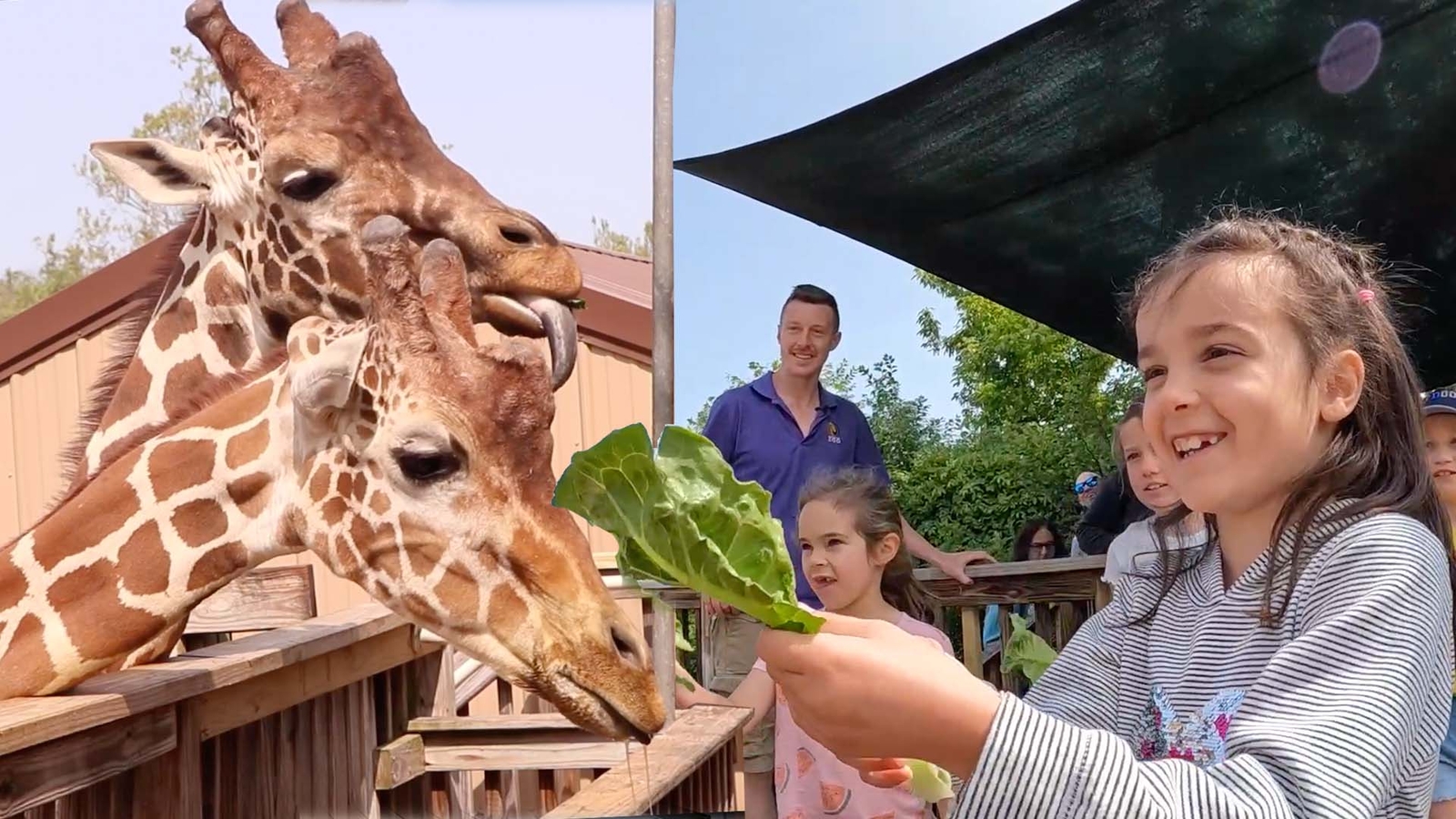 How the Elmwood Park Zoo plans to evolve for its 100th anniversary ...