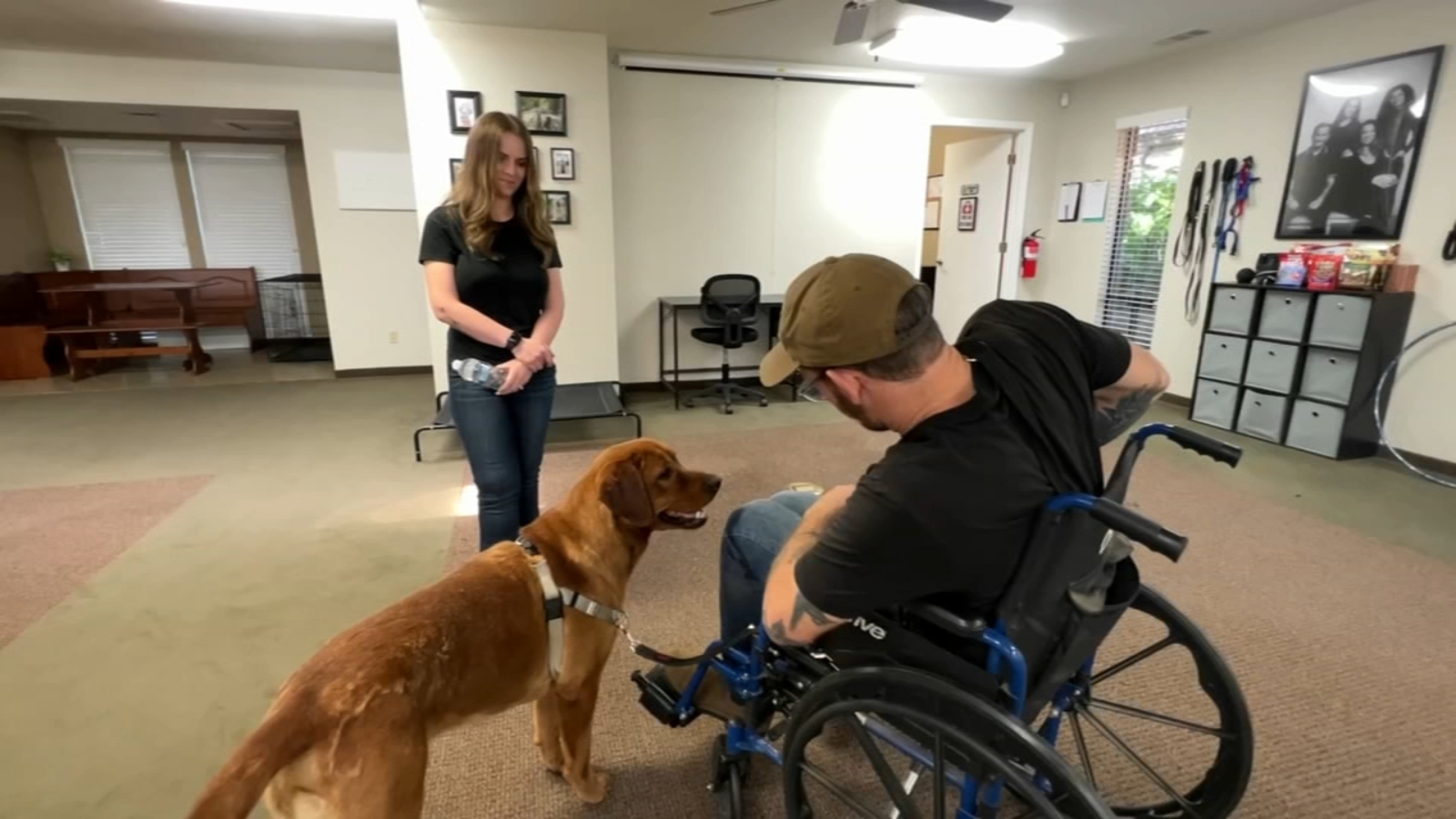 Visalia non-profit aims to connect service dogs with veterans - ABC30 ...