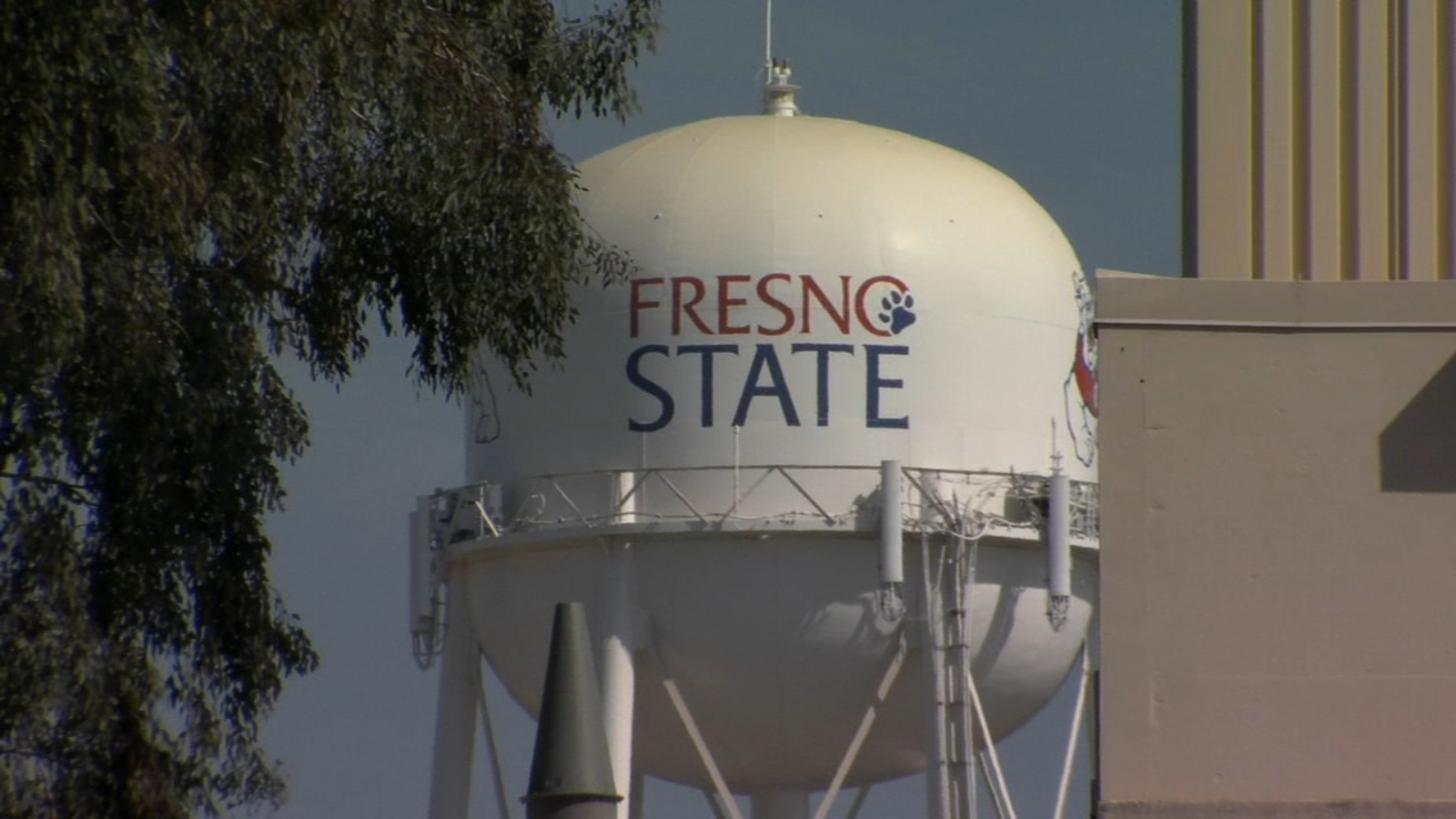 Investigation finds 'distrust of senior leadership' in CSU system's handling of Title IX claims ...