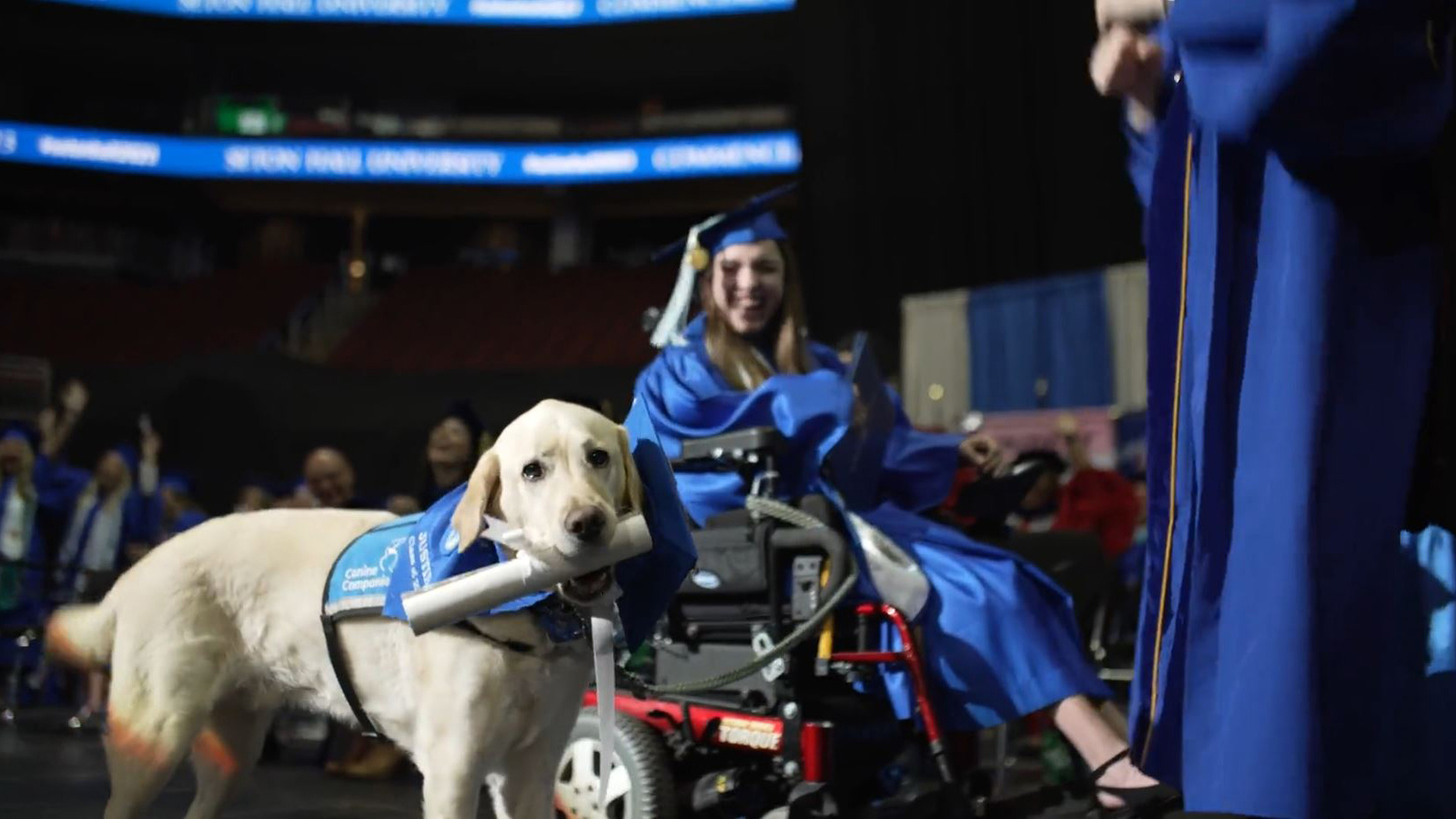 Service dog and owner receives diploma at Seton Hall University ...