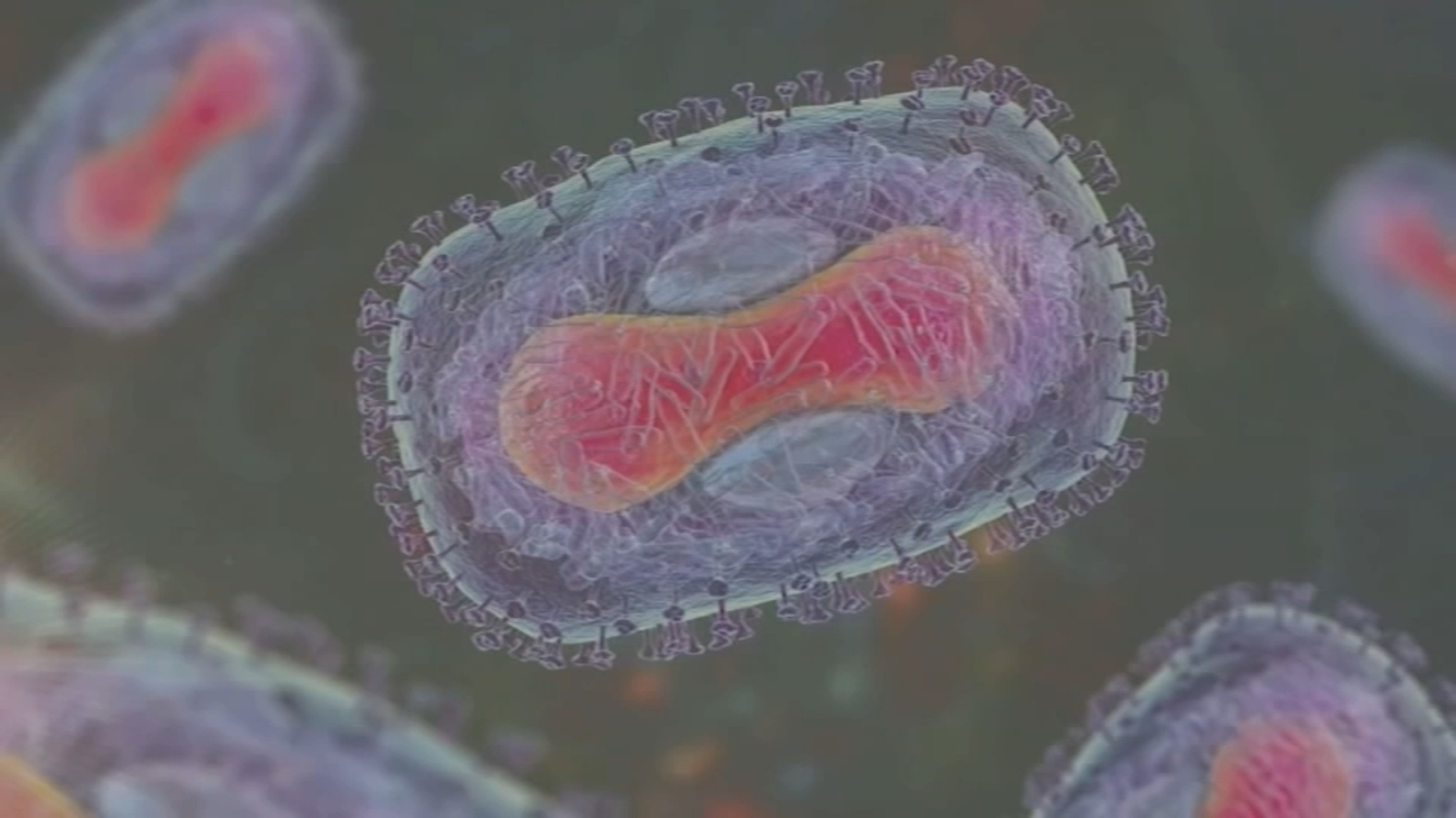 What is Mpox | Wake County health leaders push for Mpox vaccines as ...