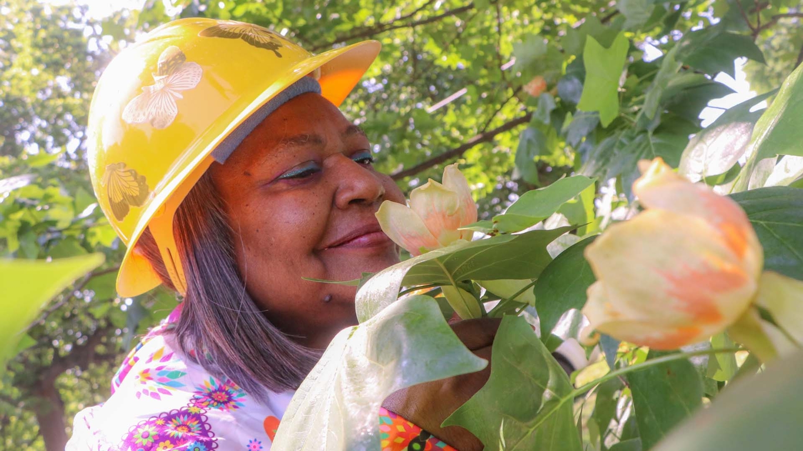 Philly's 'Tree Lady' to retire after 42 years of serving Fairmount Park ...