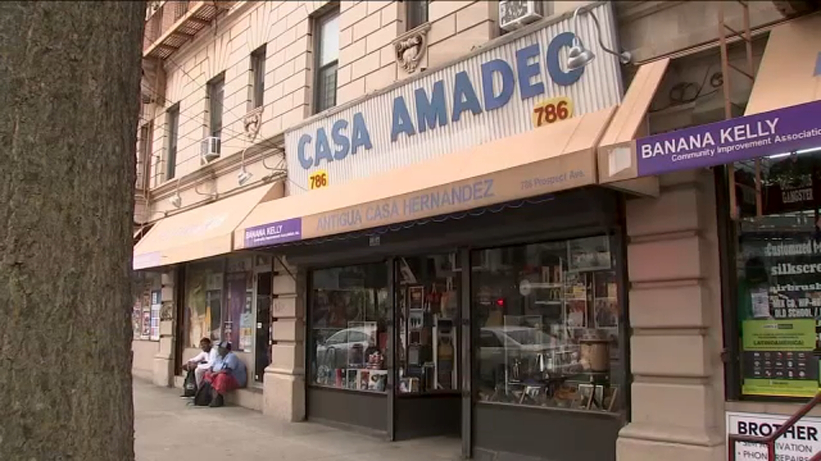 Puerto Rican native's Casa Amadeo music store remains staple in Longwood, Bronx community ...