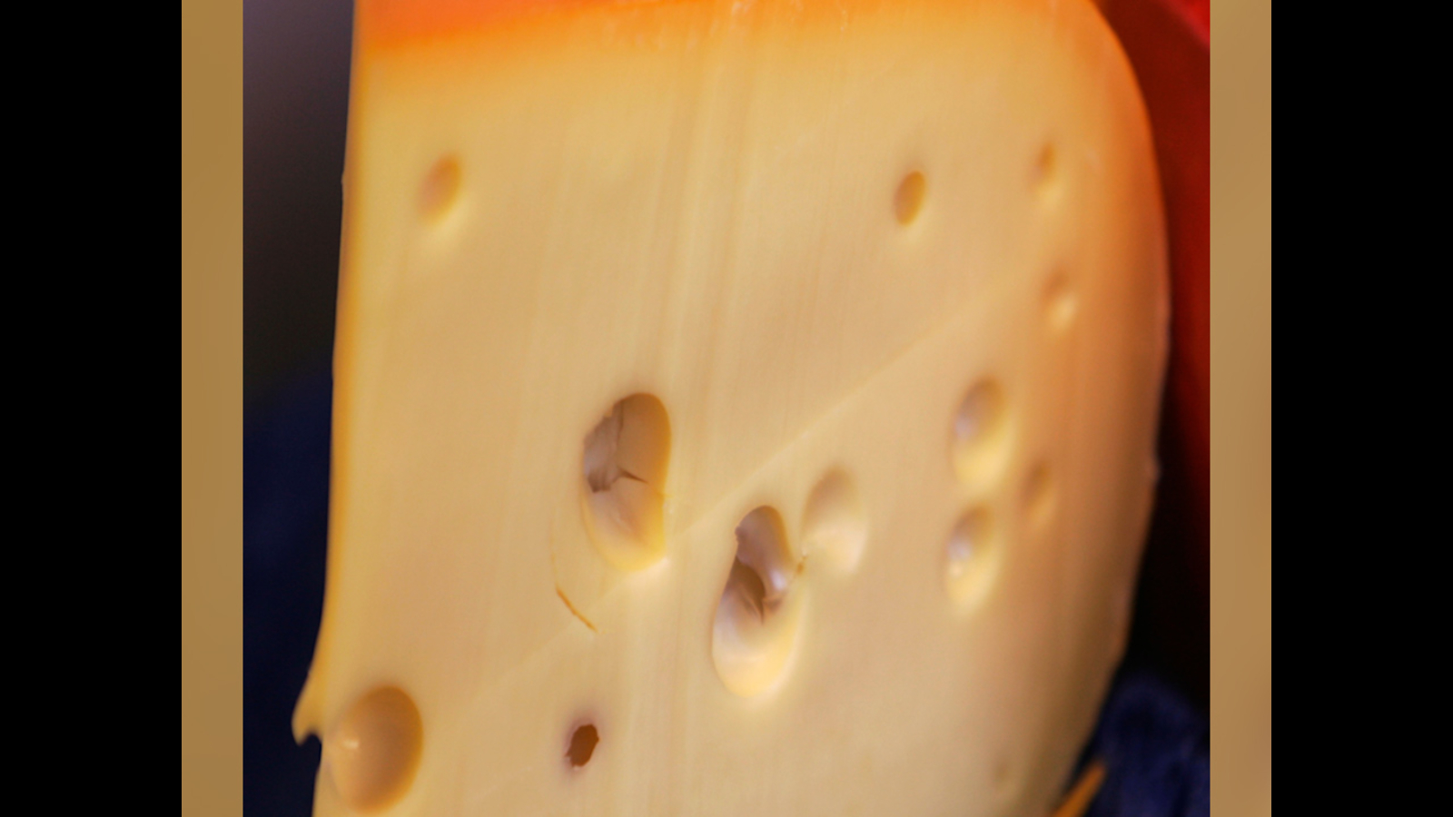 Job Alert: University of Wisconsin-Madison seeks paid cheese tester ...