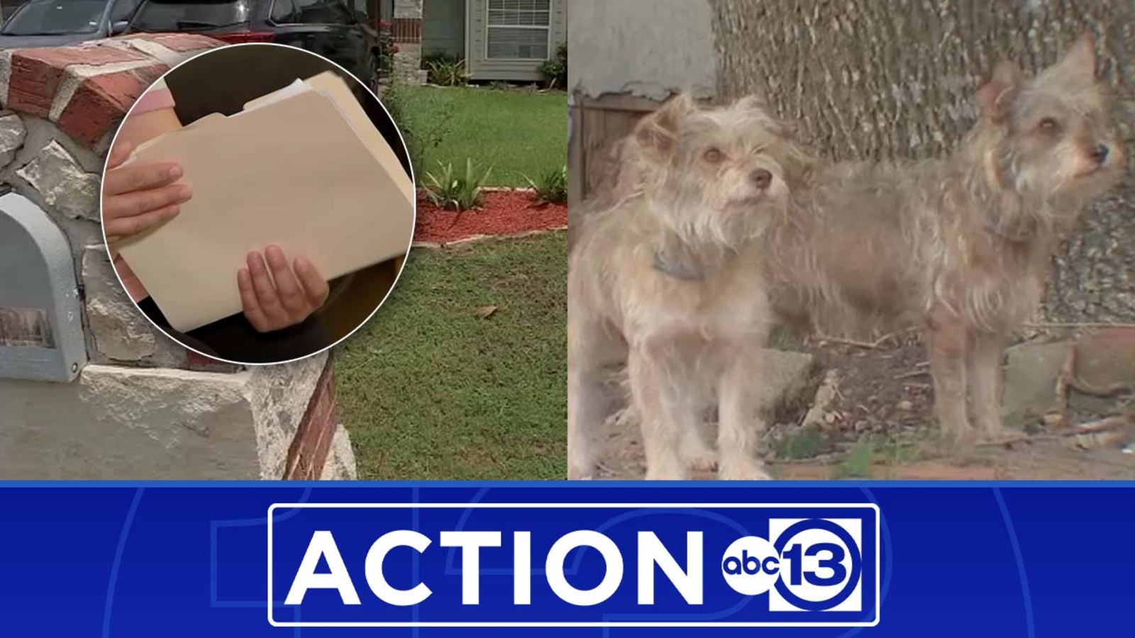 Harris County sues wrong house on Tiffany Street after neighbor's dog ...