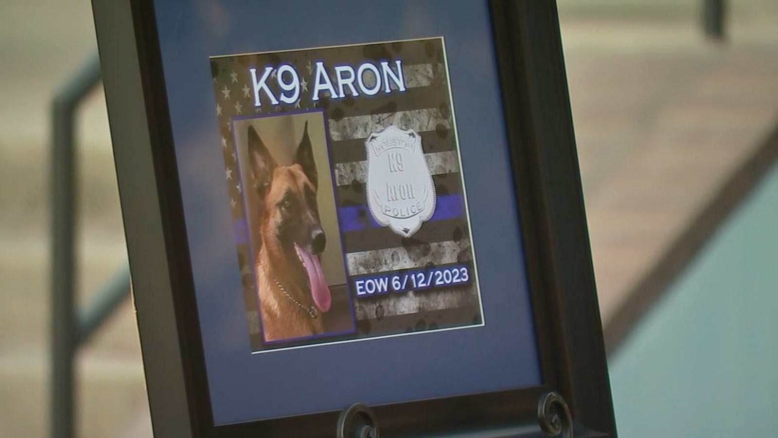 HPD K-9 officer memorial: 4-year-old fallen Officer Aron who died after ...
