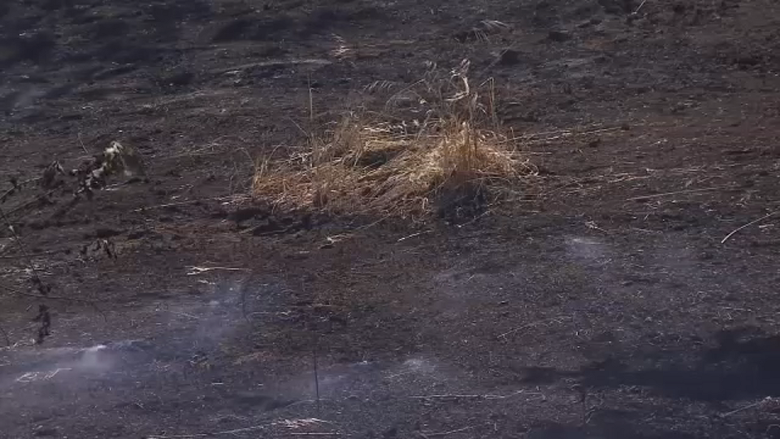 Fresno Fire investigating several highway fires - ABC30 Fresno