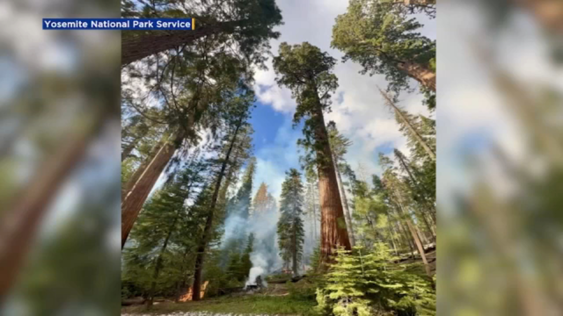 Officials: Yosemite wildfire grows to 700 acres - ABC30 Fresno