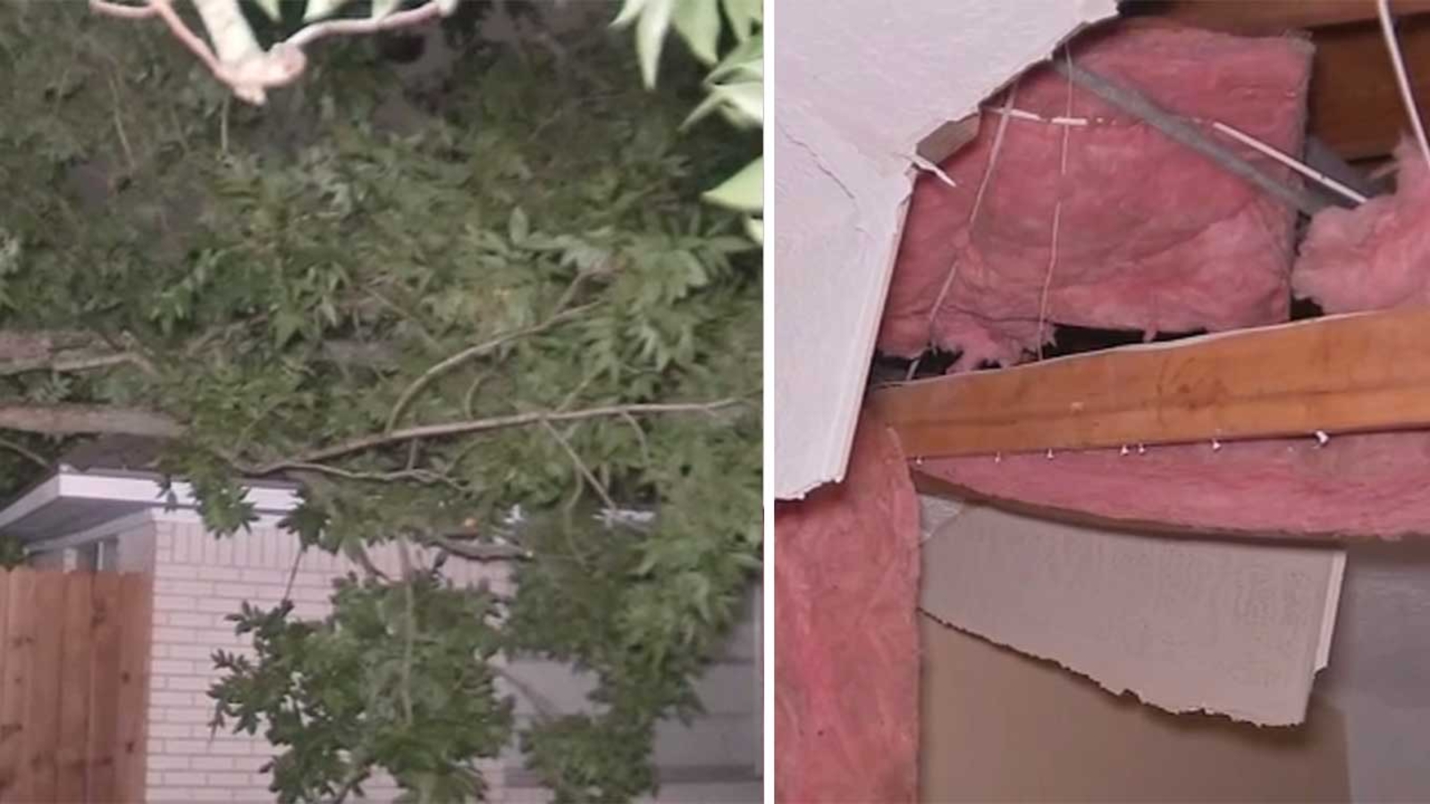 Houston storm: 100-foot tree falls on renovated Humble home as winds ...