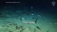 Titanic Sub Implosion Former Titan Passenger Shares Account Of Issues
