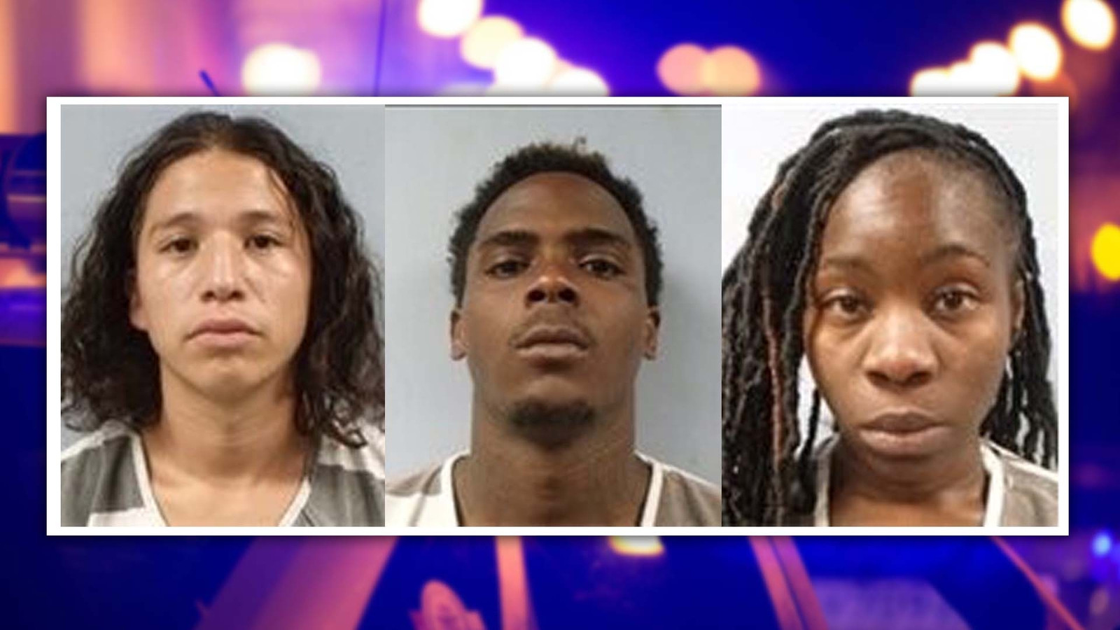 Thieves Arrested Allegedly Stole From At Least 18 Victims After
