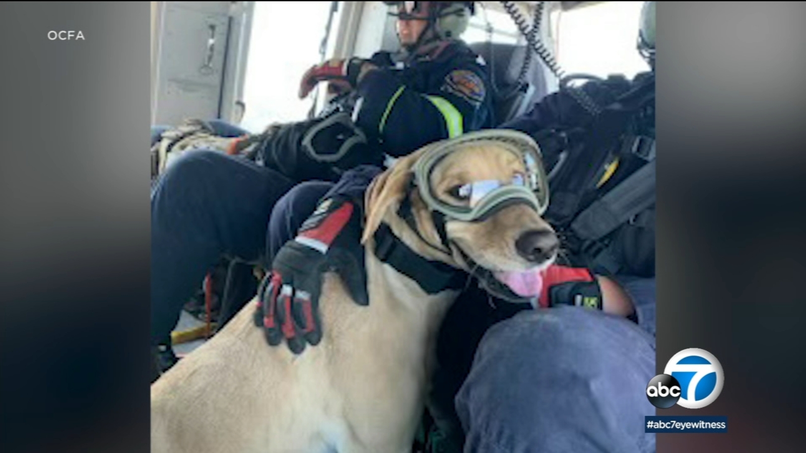 From rescued to rescuer, the Orange County Fire Authority's newest ...