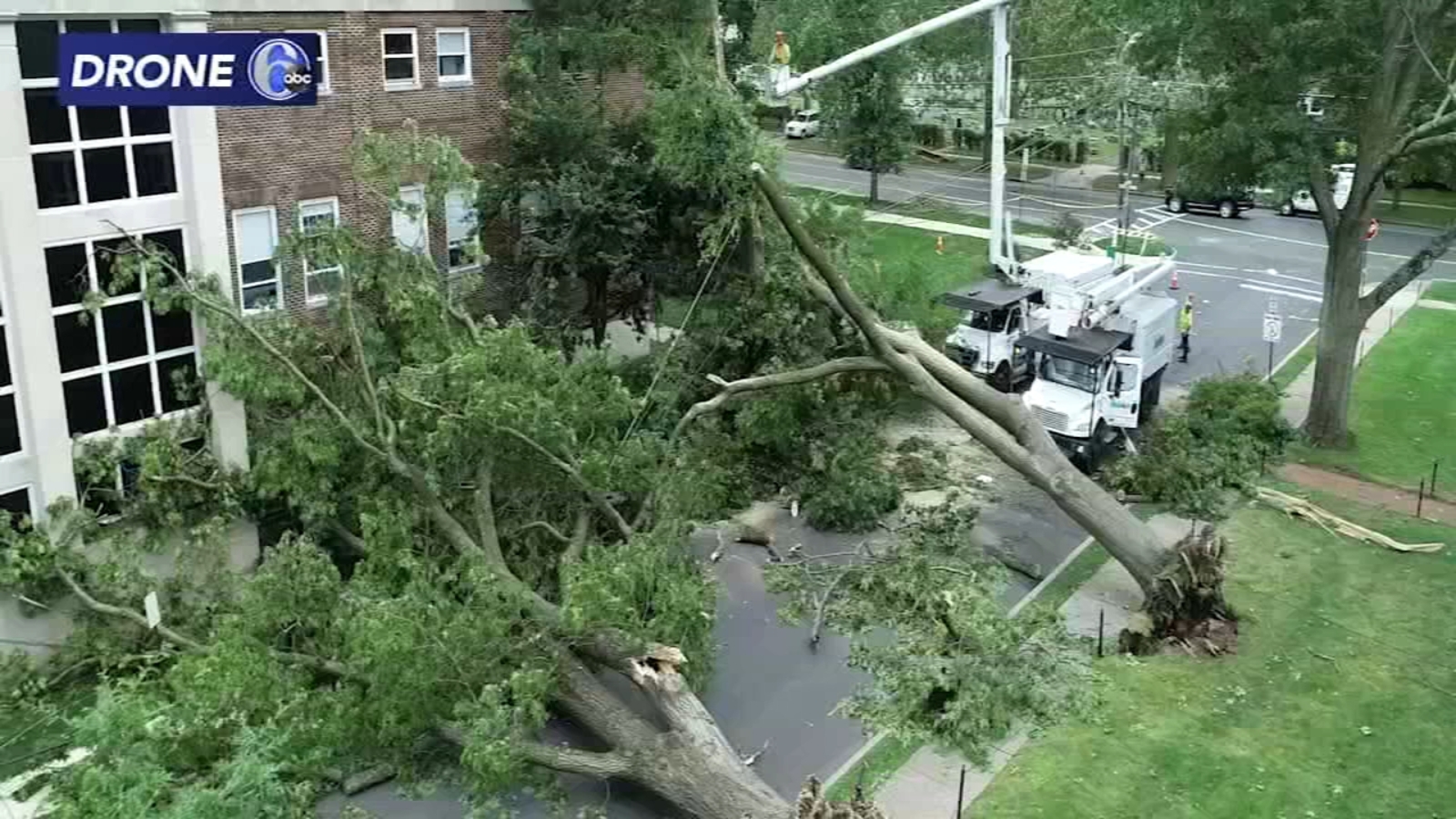 Quick-moving storms cause flooding, downed trees in parts of Camden ...