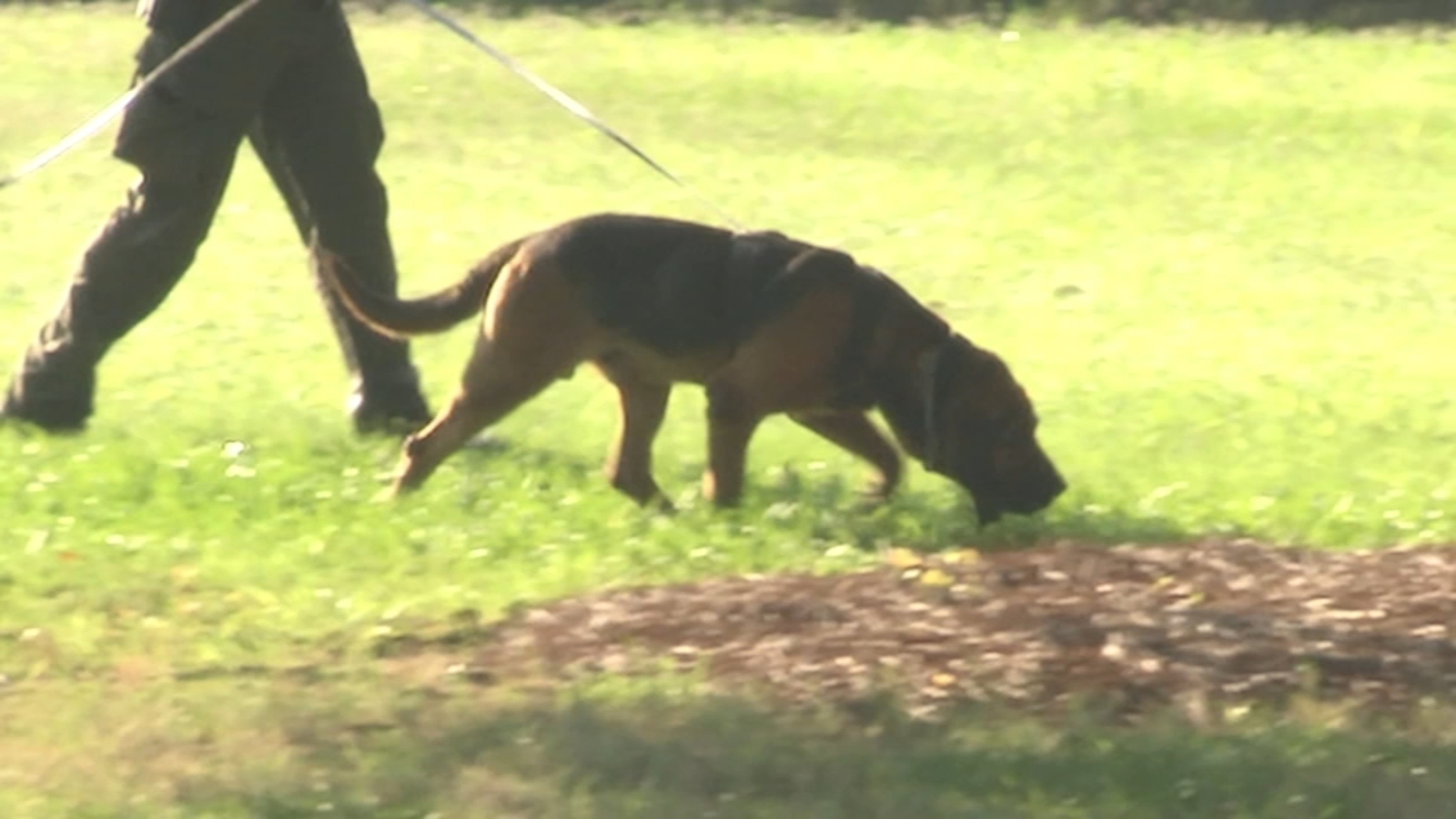 Cecil Olive silver alert | Large search underway for missing 71-year ...