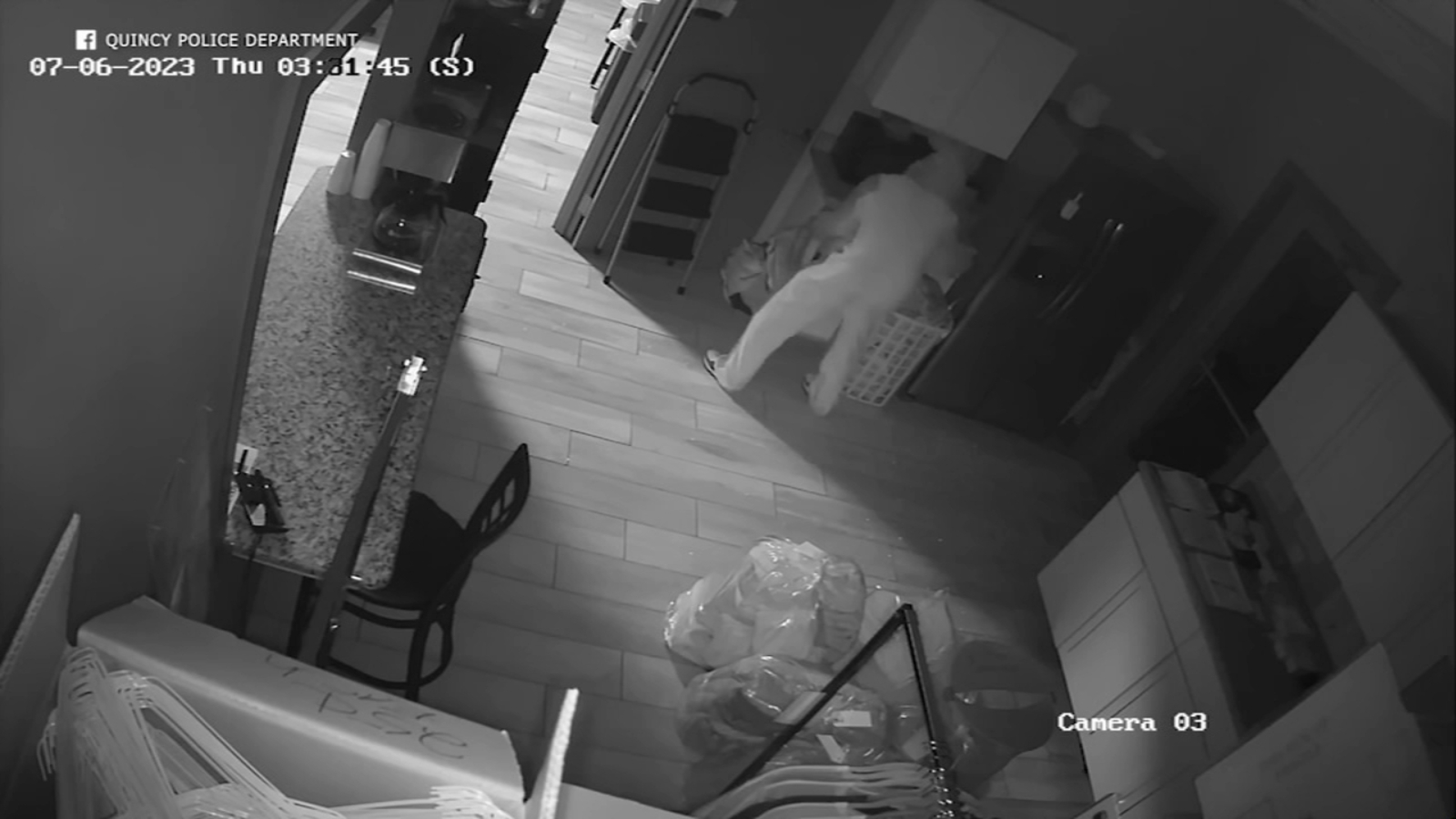 Caught On Camera Person Wearing Bunny Suit Burglarizes Winners Wash Laundromat In Quincy Il