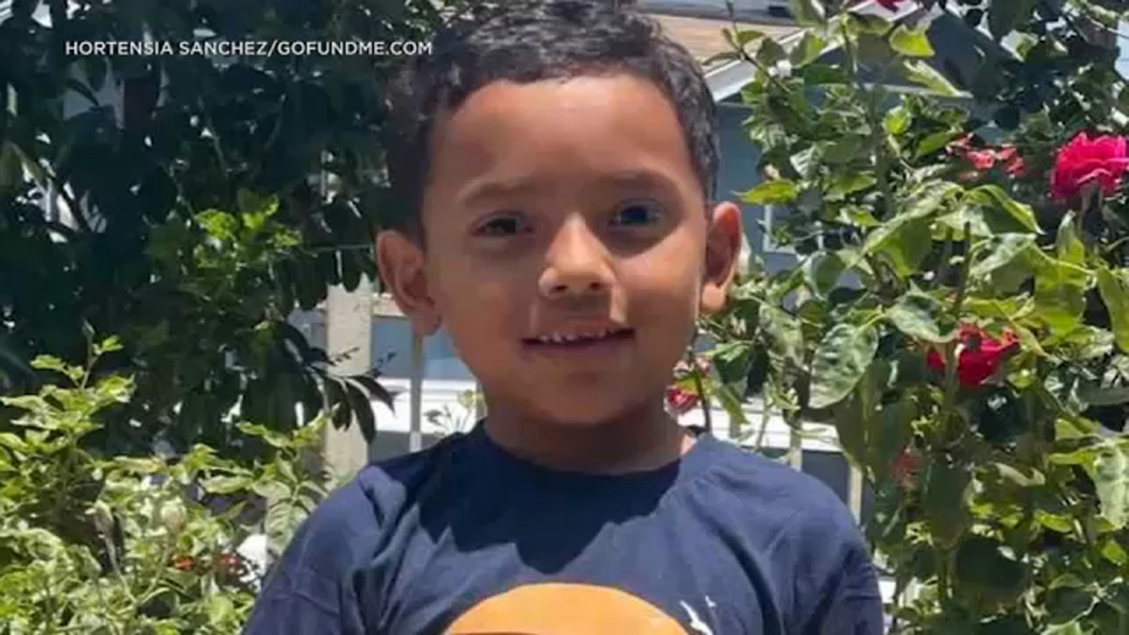 Mother says young son collapsed in her arms after being hit by stray ...