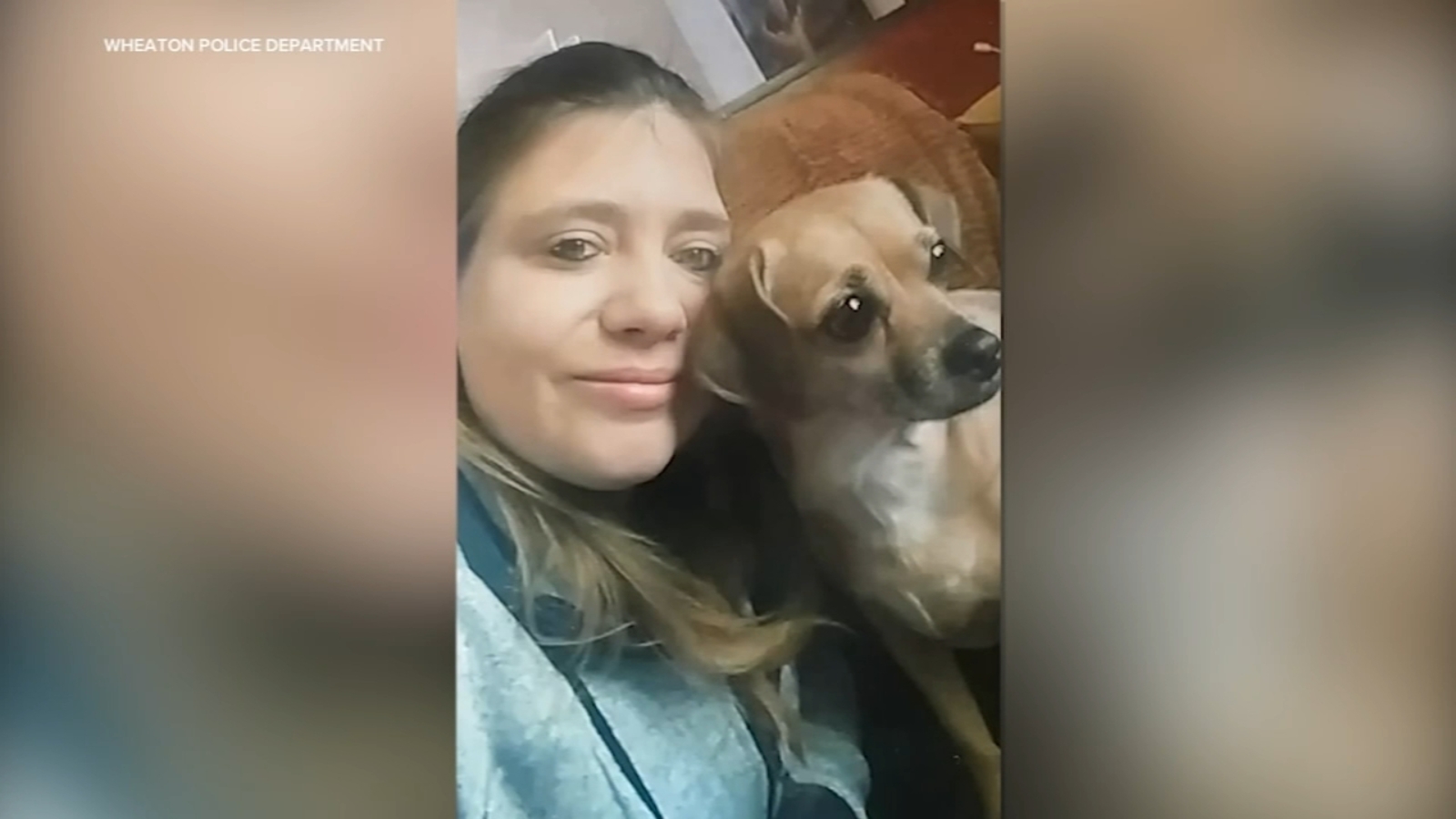 Wheaton Police Department, mother ask public for information about hit ...