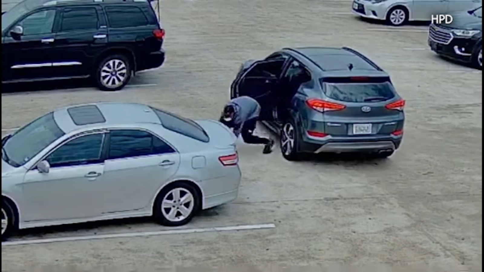 Caught on camera: HPD searching for suspect who snatched purse from ...